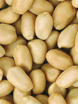 MANI Y SUB-PRODUCTOS: MANI BLANCHEADO.